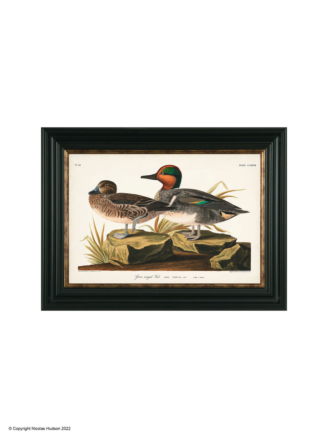Framed Prints for Stylish Interior Designs | Hudson Home – Page 3
