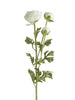 Faux Ranunculus Spray | Hudson Home
